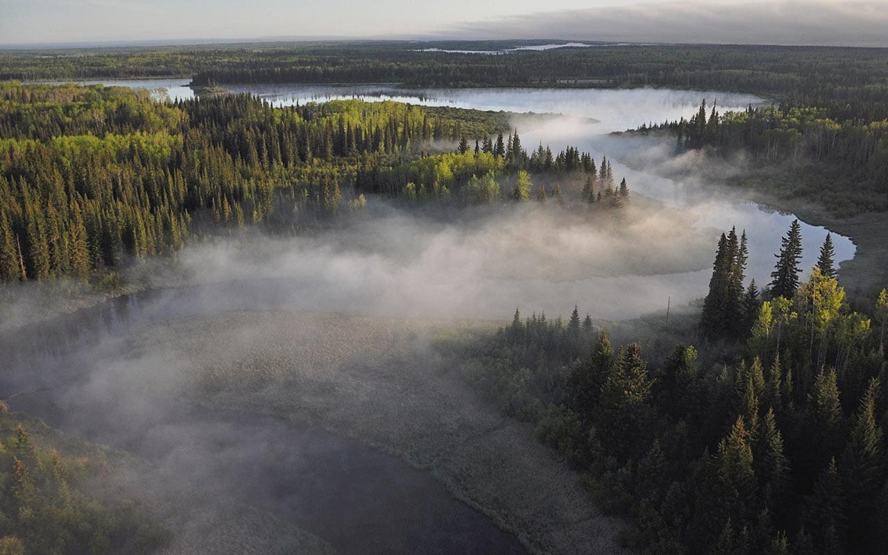 La forêt boréale du Canada - Canards Illimités Canada