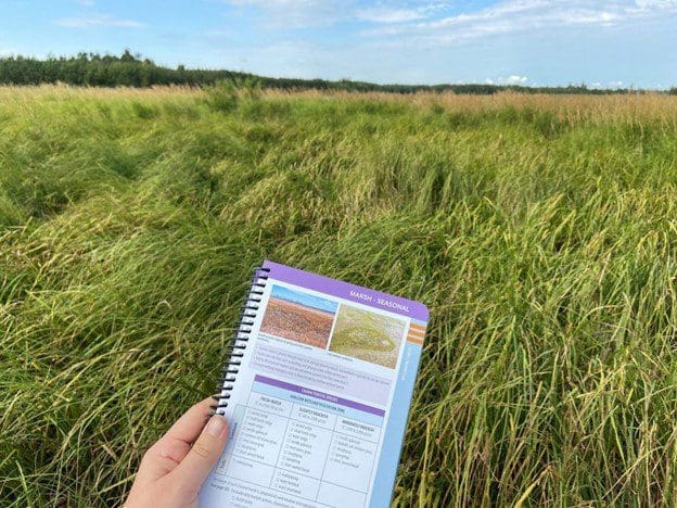 Voici l’Alberta Wetland Classification System Field Guide — Ducks ...