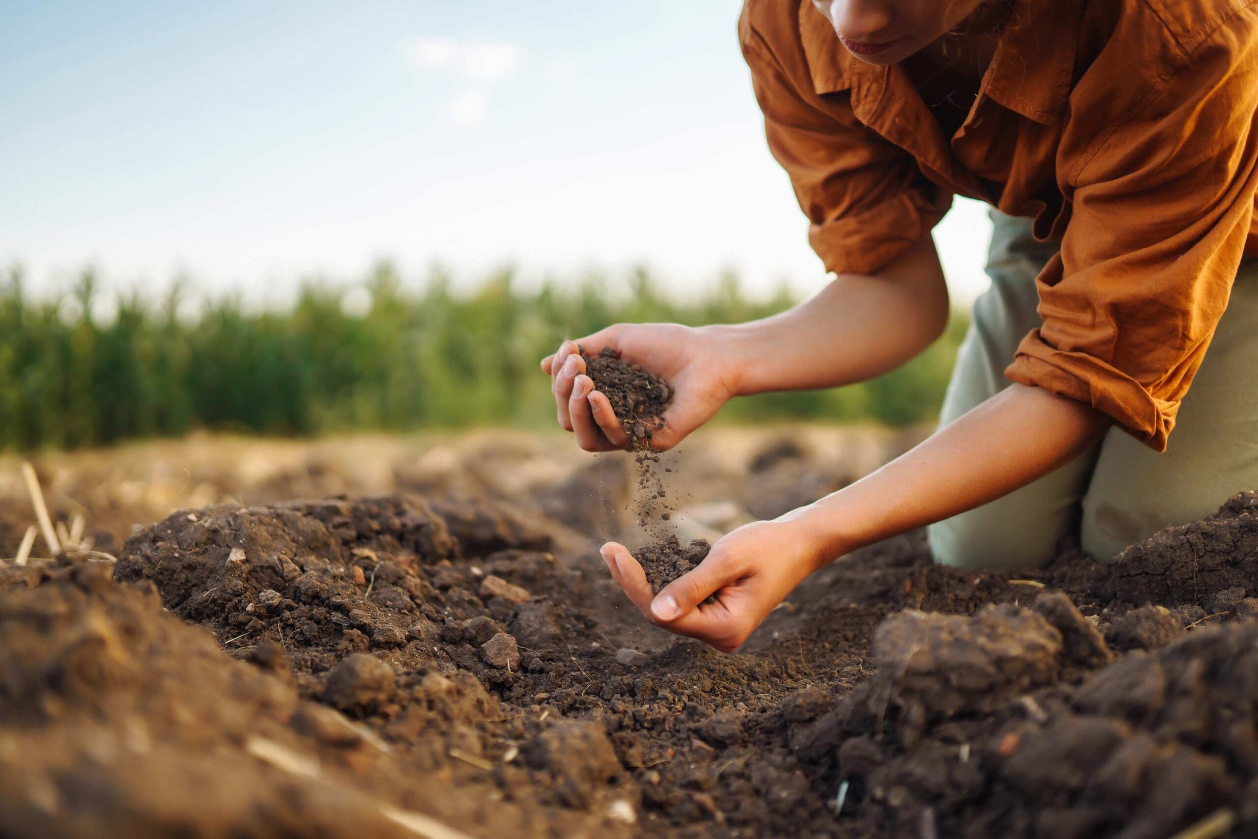 Pourquoi le sol est-il important ? — Ducks Unlimited Canada