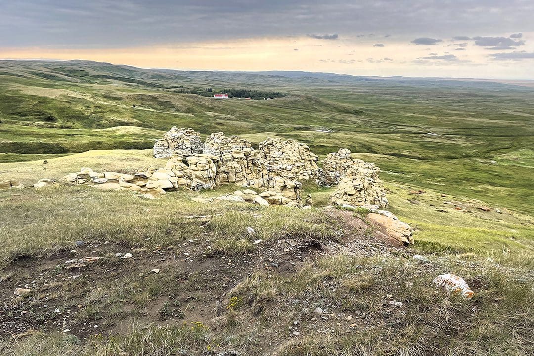 Ranch McIntyre — Ducks Unlimited Canada