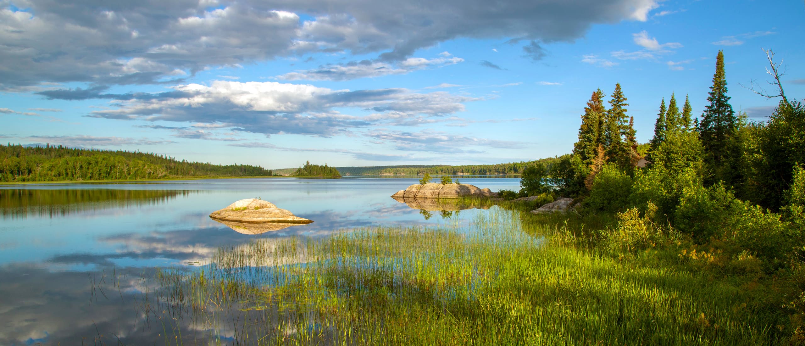 Forêt boréale - Canards Illimités Canada