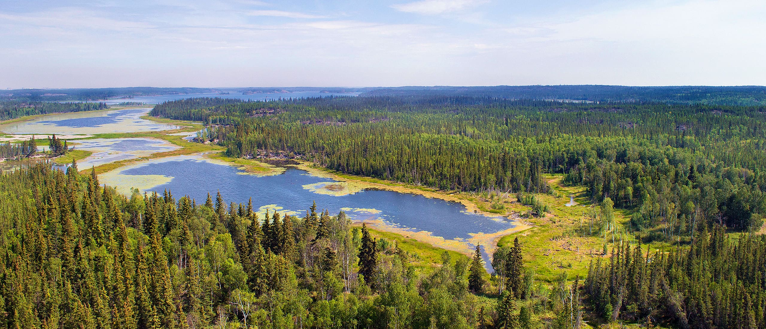 Programme national de la forêt boréale — Ducks Unlimited Canada